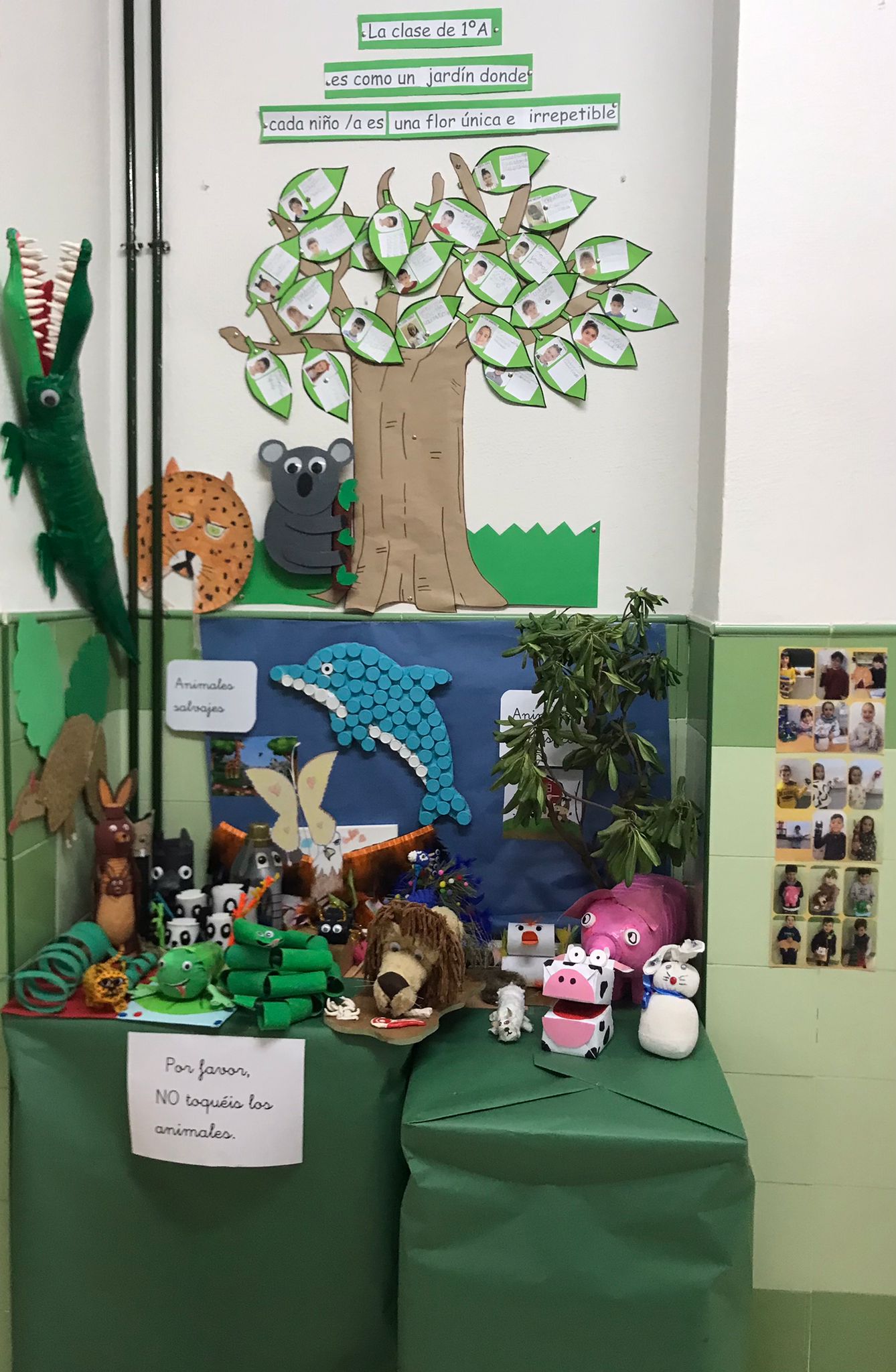 Proyecto de los animales en 1ºA – C.E.I.P. Sierra Nevada