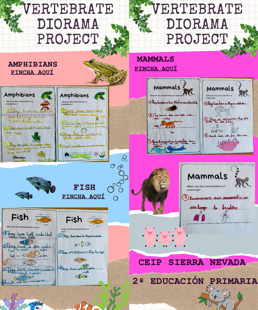 Vertebrate diorama project – C.E.I.P. Sierra Nevada